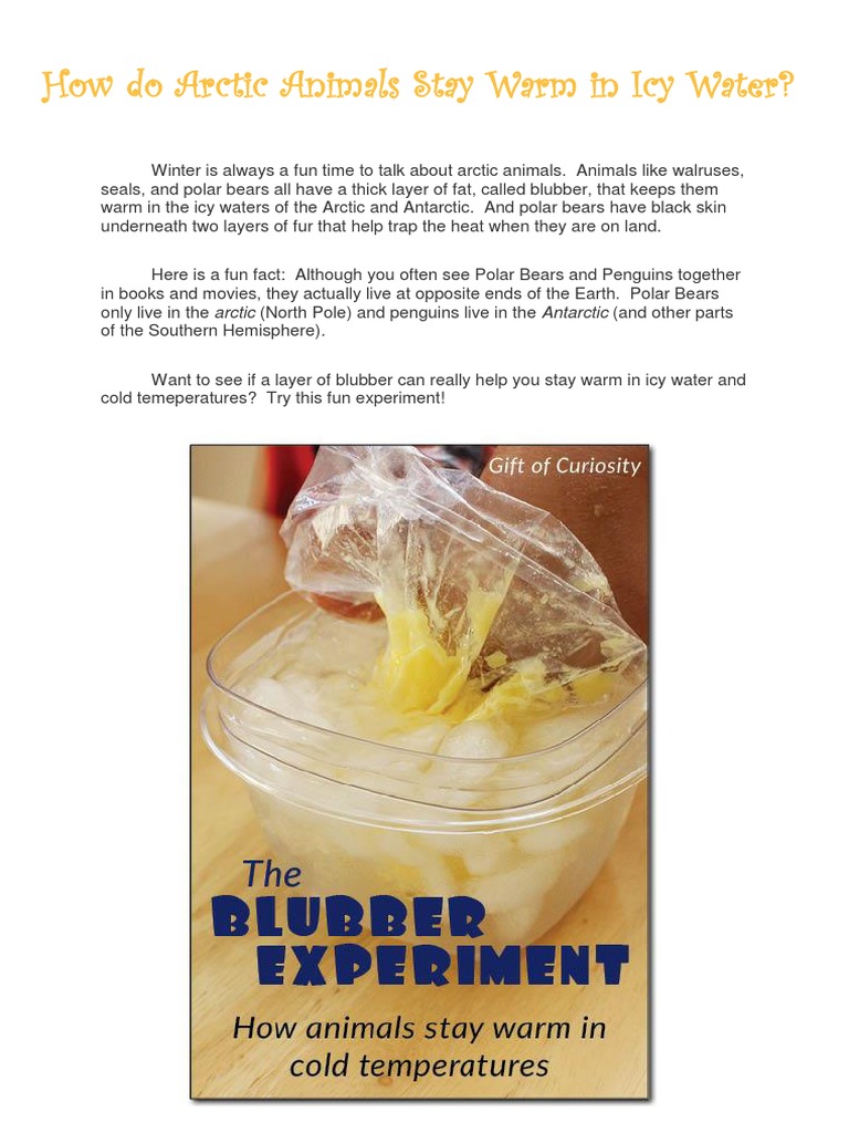 How Do Arctic Animals Stay Warm in Icy Water | PDF