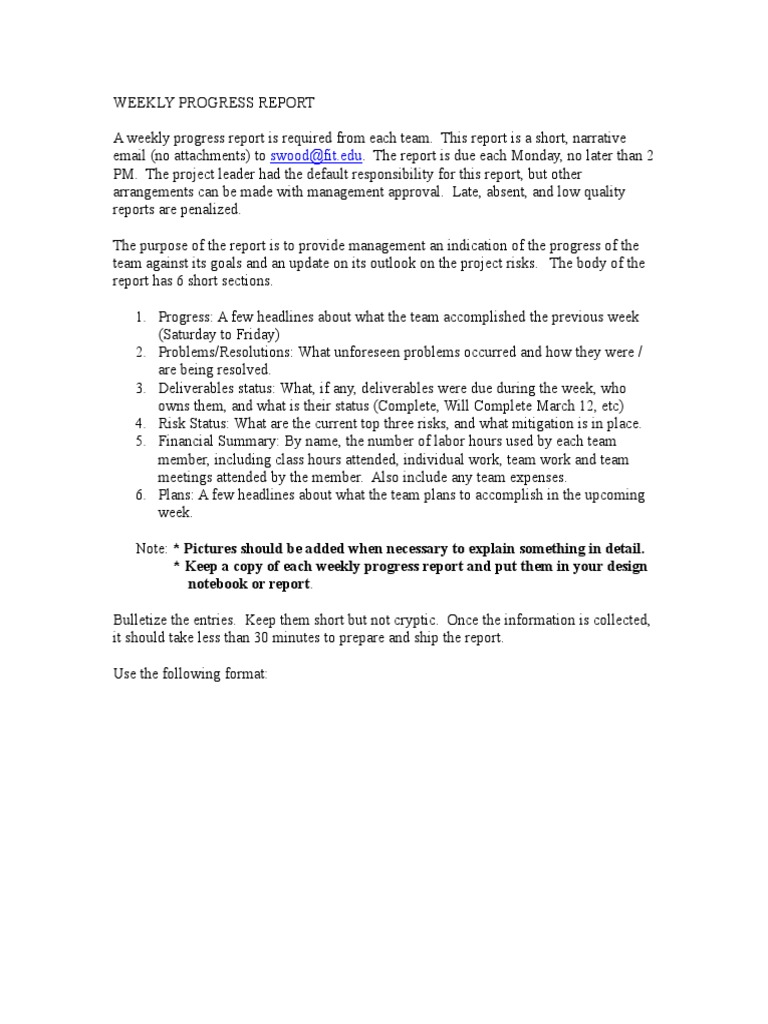 Weekly Progress Report | PDF