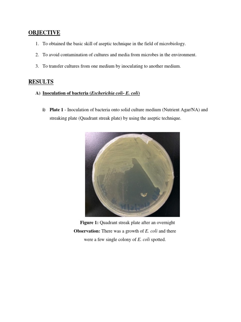 LAB 1 Microbe Aseptic Technique | PDF | Growth Medium | Microbiology