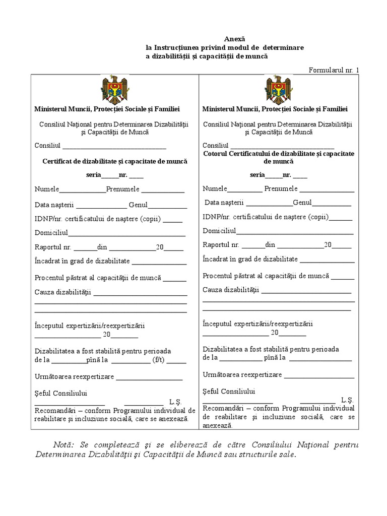 Anexa - Instructiunea Determinarea Dizabilitatii | PDF