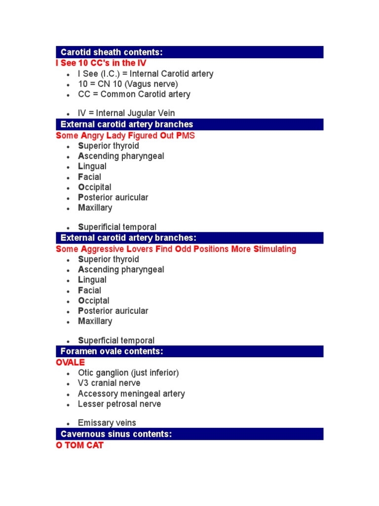 Mnemonic S | PDF | Skull | Human Head And Neck