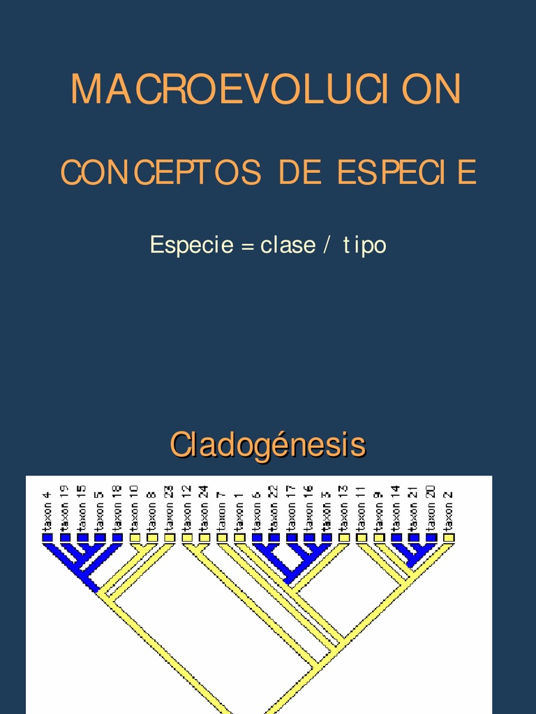 Macroevolución | PDF | Especies | Filogenética