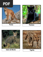5 Animales Perjudiciales y 5 Utiles Animados | PDF