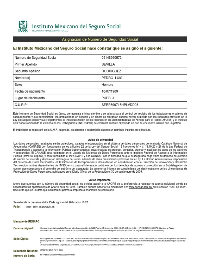 Ejemplo Comprobante NSS | PDF | Seguro | Gobierno
