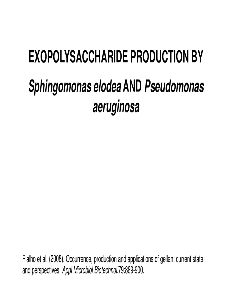 Exopolysaccharide Production By: Sphingomonas Elodea AND Pseudomonas ...