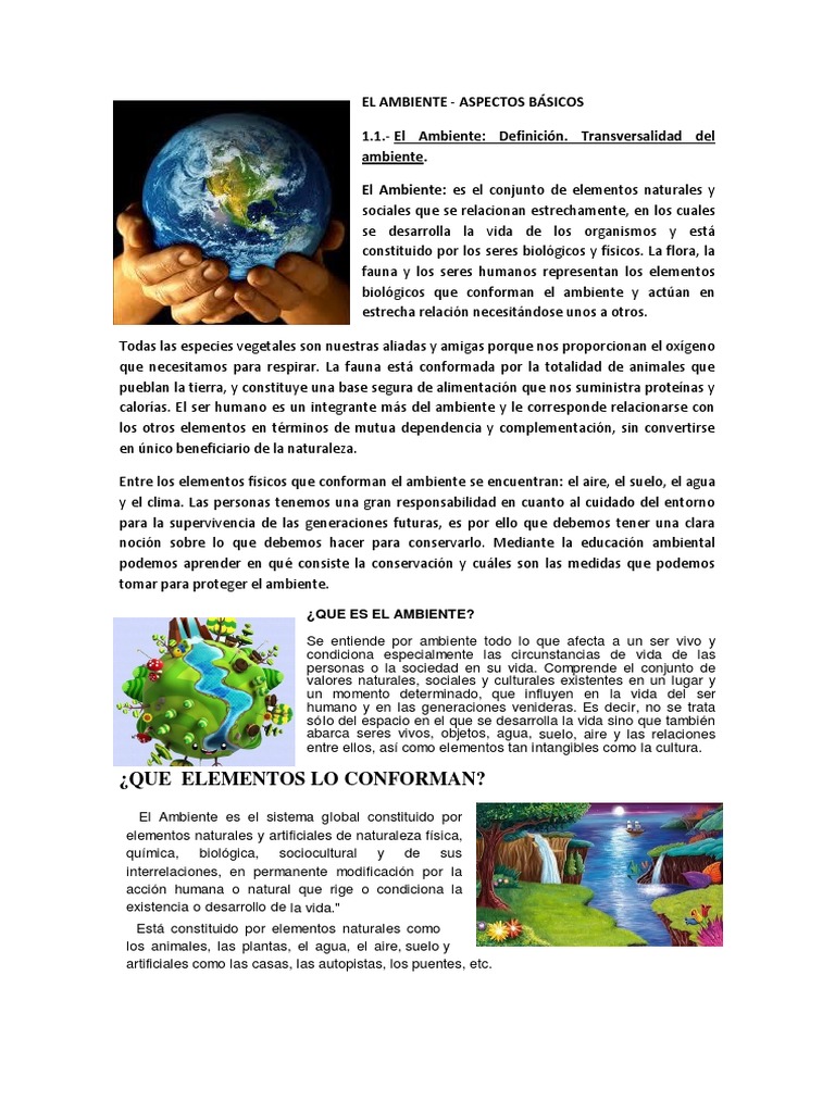 Unidad 1 El Ambiente Aspectos Basicos