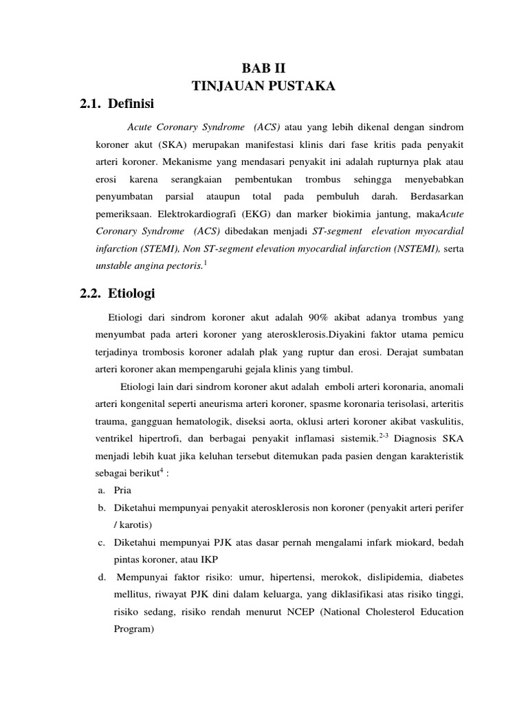 BAB II Tinjauan Pustaka Ska | PDF