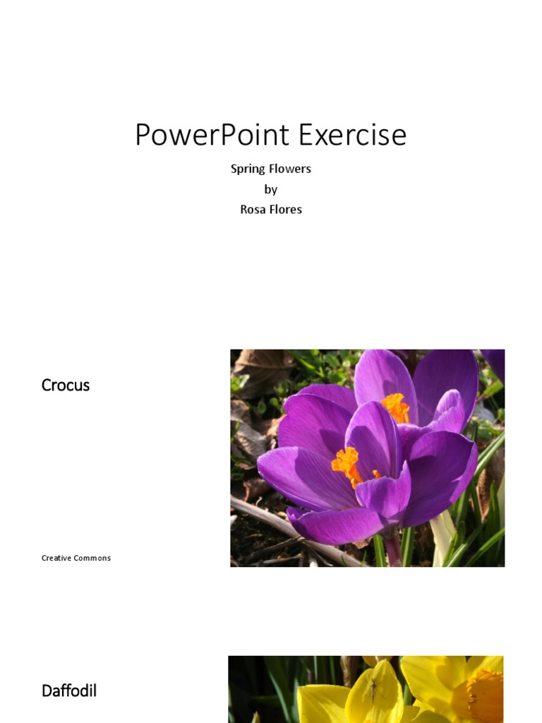 Powerpoint Exercise | PDF