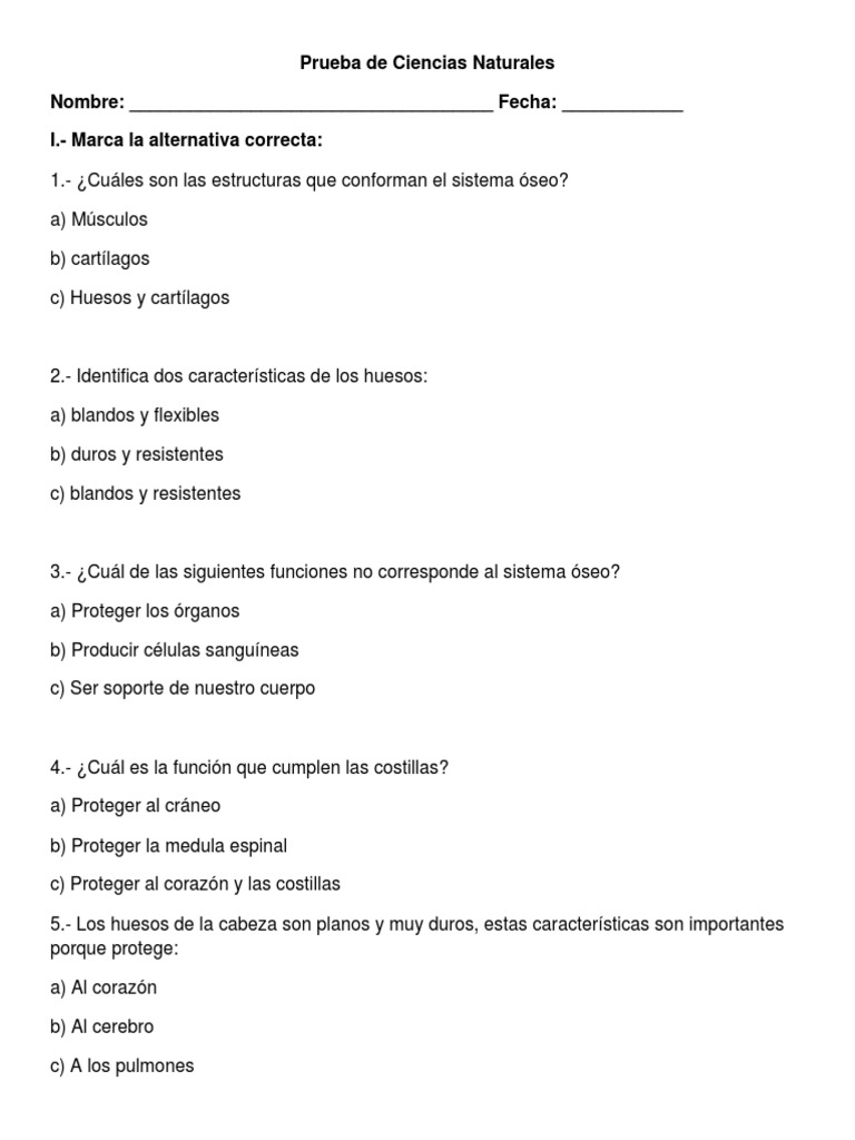 Prueba Sistema Esqueletico y Muscular | PDF | Hueso | Articulación