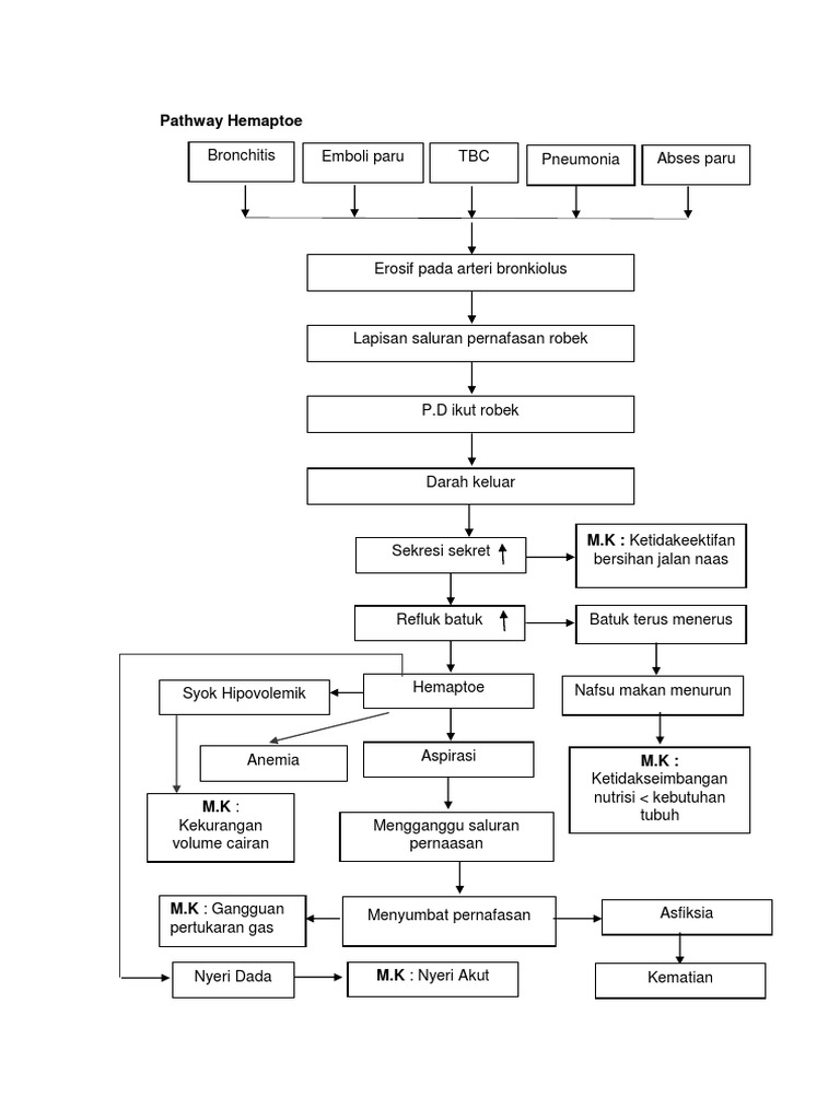 Pathway Hemoptoe dan Komplikasinya | PDF