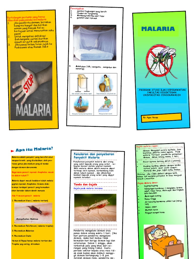 Leaflet Malaria | PDF