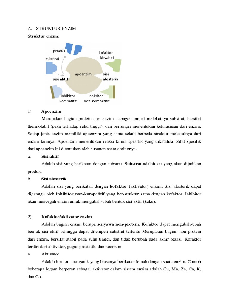 Struktur Enzim | PDF