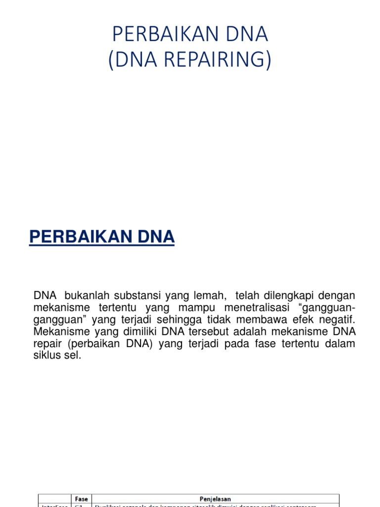 DNA Repair | PDF