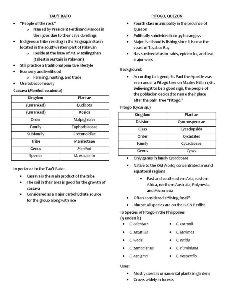 Cassava and Pitogo | PDF | Plants | Trees