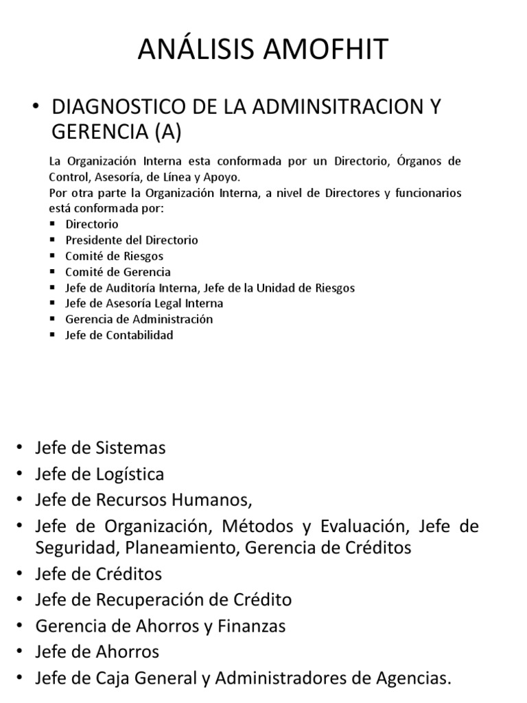 ANÁLISIS AMOFHIT 2 | PDF | Contabilidad | Business