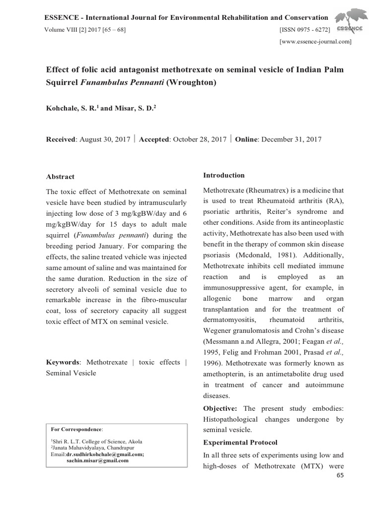 Effect of Folic Acid Antagonist Methotrexate On Seminal Vesicle of ...