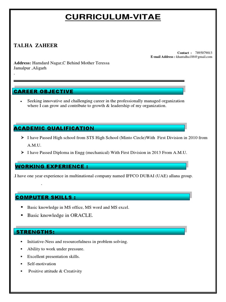 Curriculum-Vitae: Talha Zaheer | PDF
