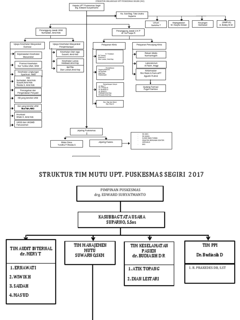 Struktur Organisasi UPT Puskesmas Segiri | PDF