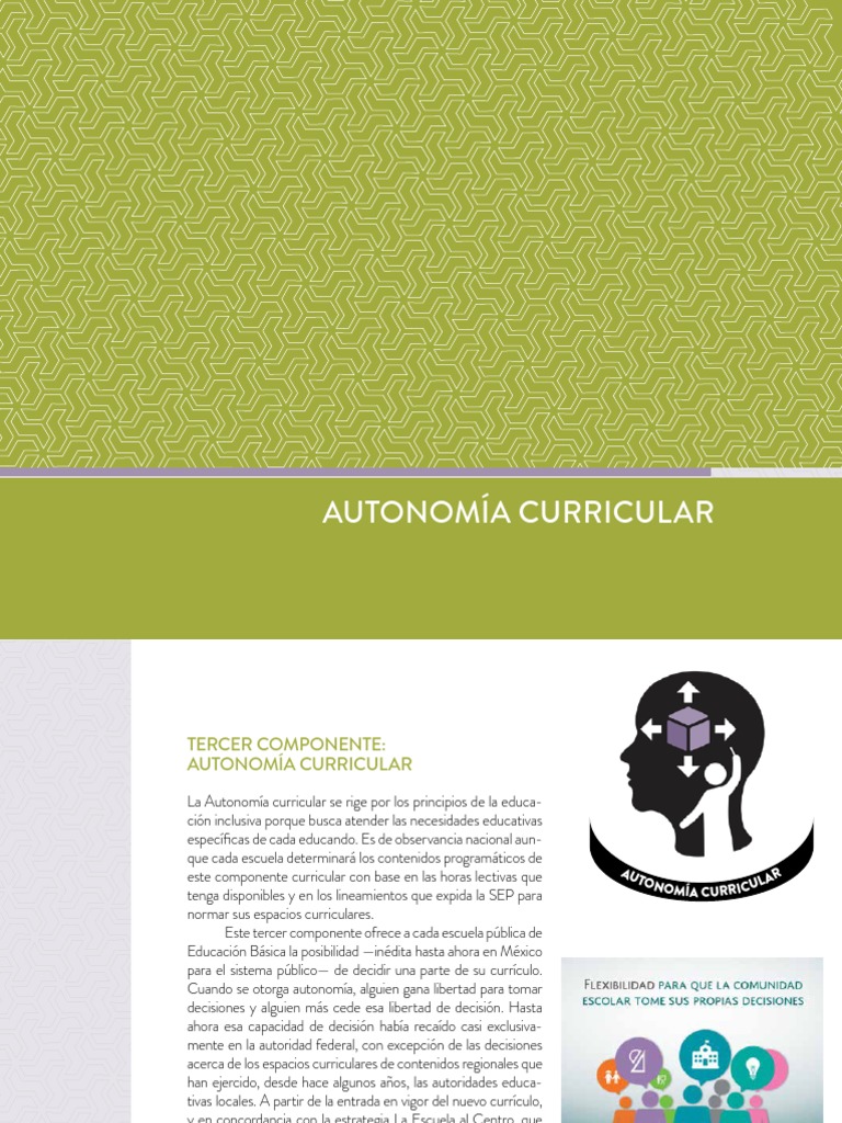 Autonomía Curricular en Educación Básica | PDF | Plan de estudios ...