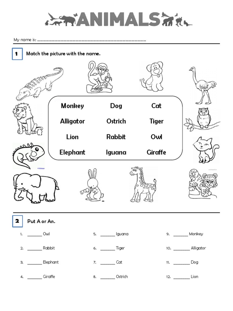 Monkey Alligator Lion Elephant Dog Ostrich Rabbit Iguana Cat Tiger Owl ...