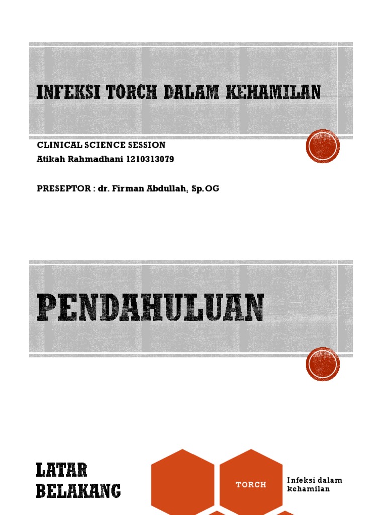 Infeksi Torch Dalam Kehamilan | PDF