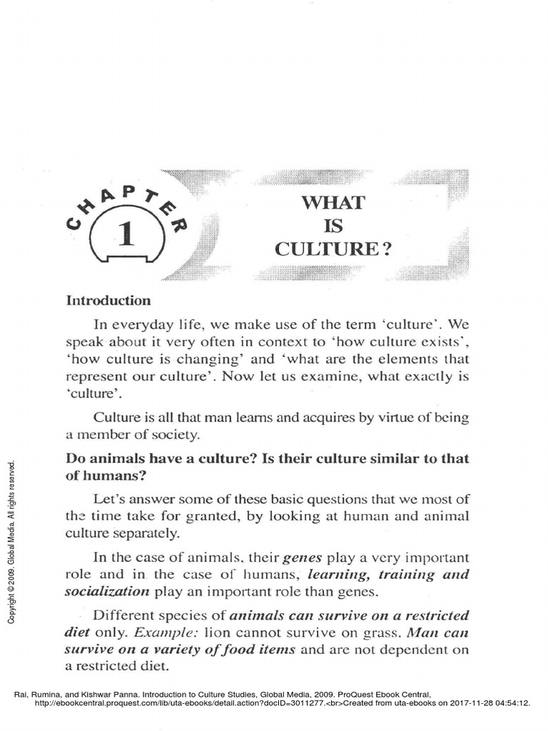 Introduction To Culture Studies - (WHAT Is CULTURE) | PDF | Human ...