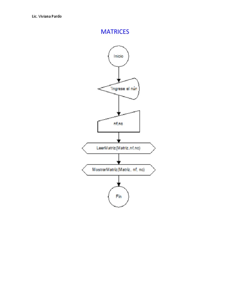 Matrices: Lic. Viviana Pardo | PDF | Computer Programming | Software Engineering