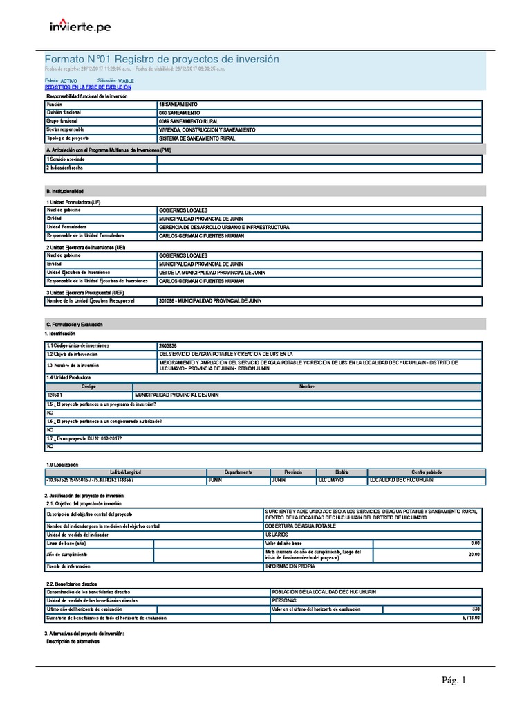 Formato 1 Registro de Proyecto | Formato de Documento Portable | Costo