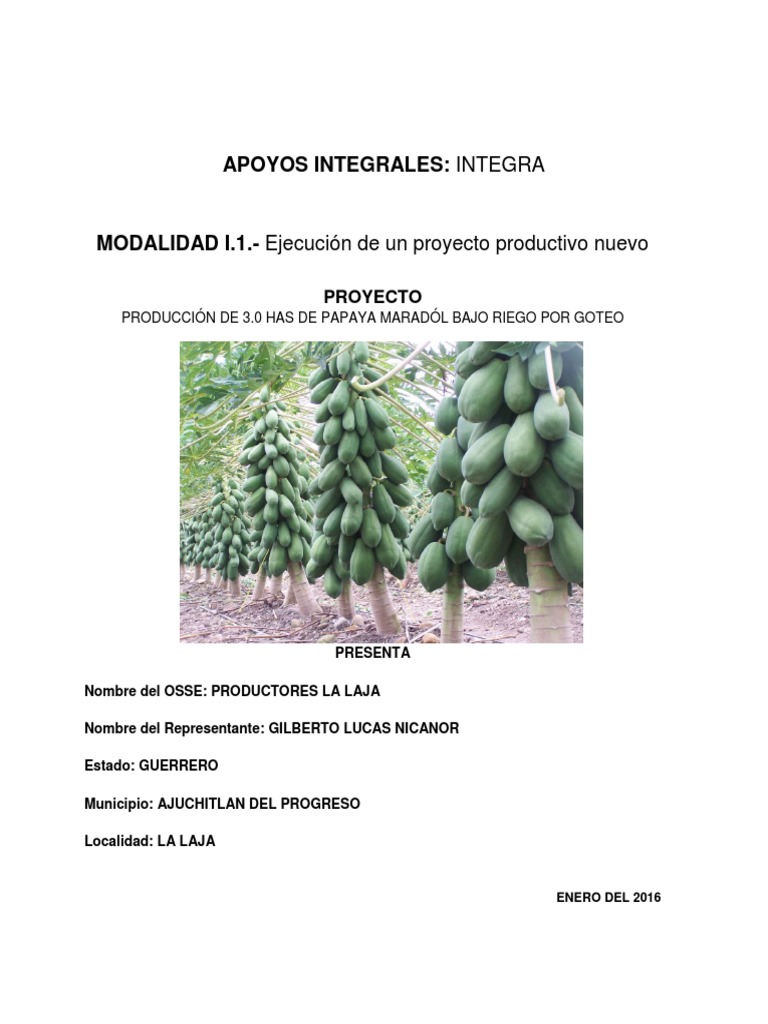 Proyecto Papaya 3.0 Has Producores La Laja | PDF | Business | Naturaleza