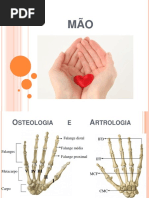Aula 6 Ossos, Músculos, Inervação e Vascularização Do Punho e Mão | PDF ...