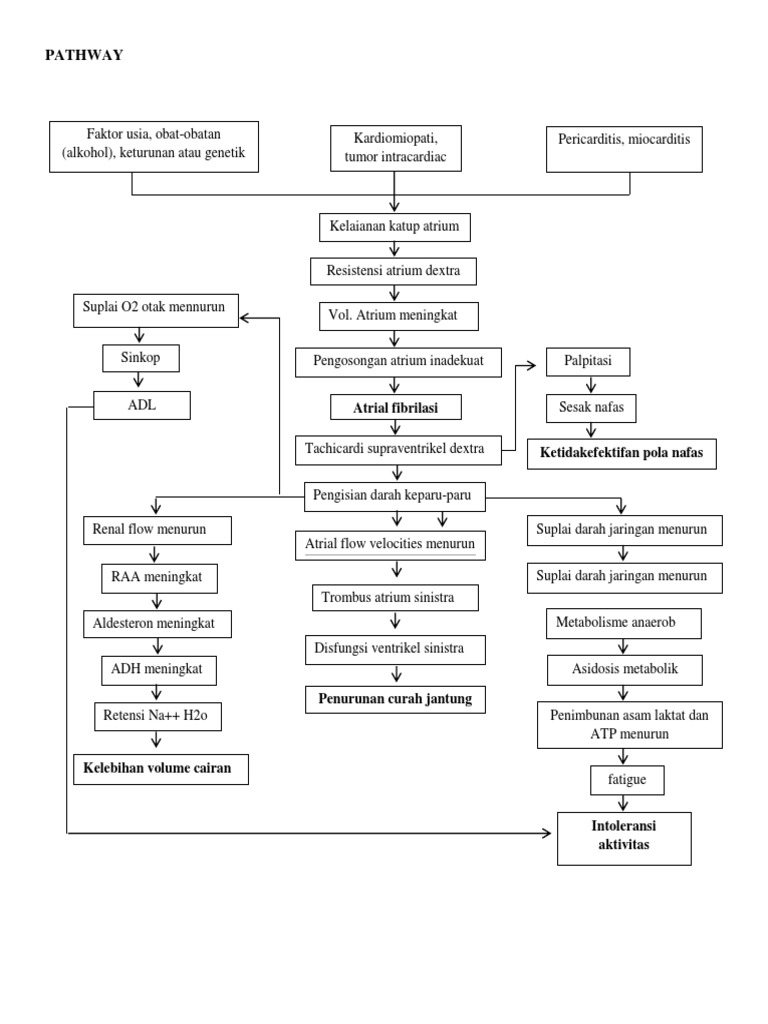 Pathway | PDF