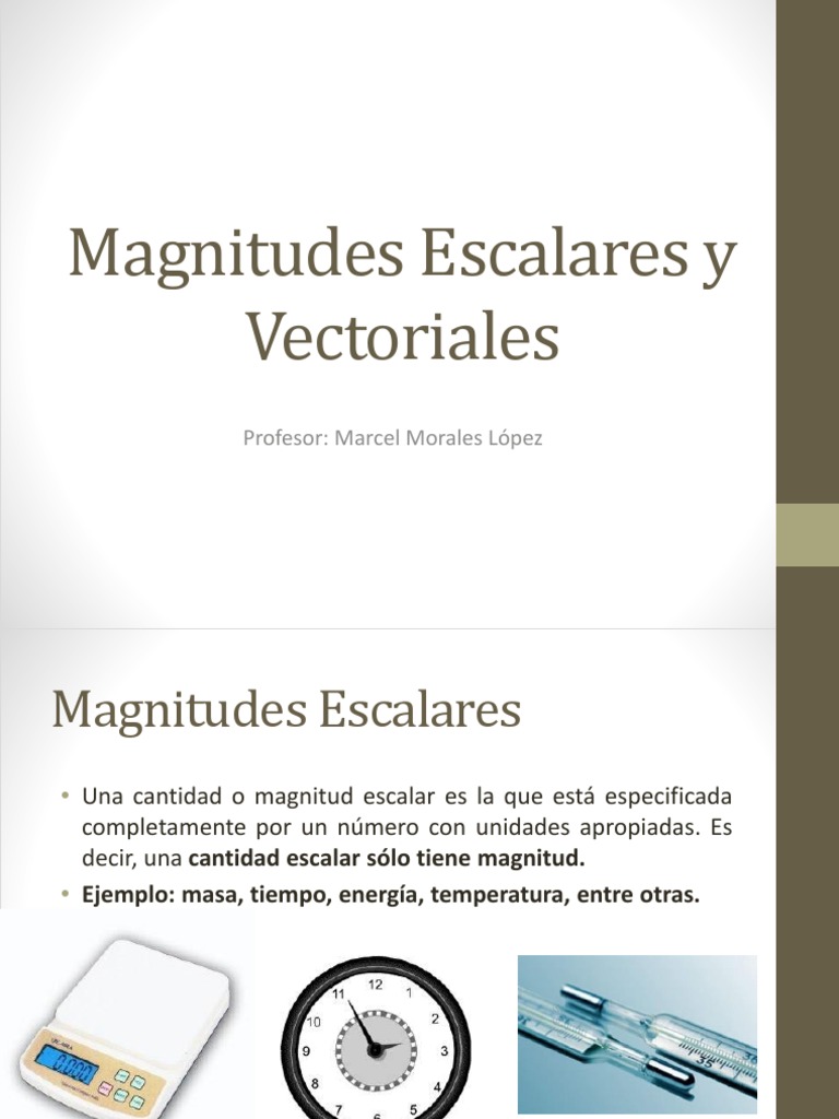 Magnitudes Escalares y Vectoriales | PDF | Vector Euclidiano | Cantidad