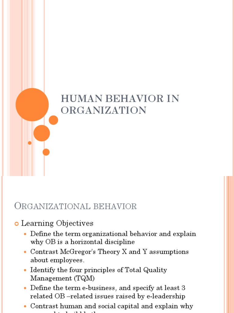 Human Behavior in Business Organization | PDF | Stereotypes | Motivation