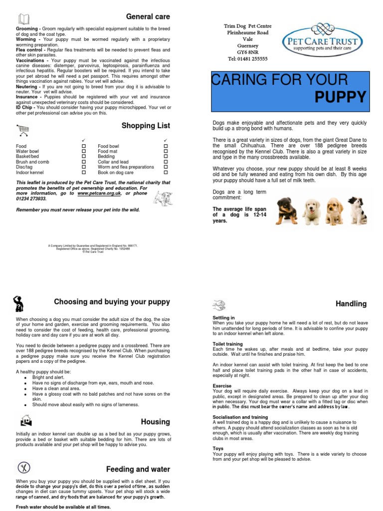 Caring For Your Puppy | PDF | Dogs | Veterinary Physician