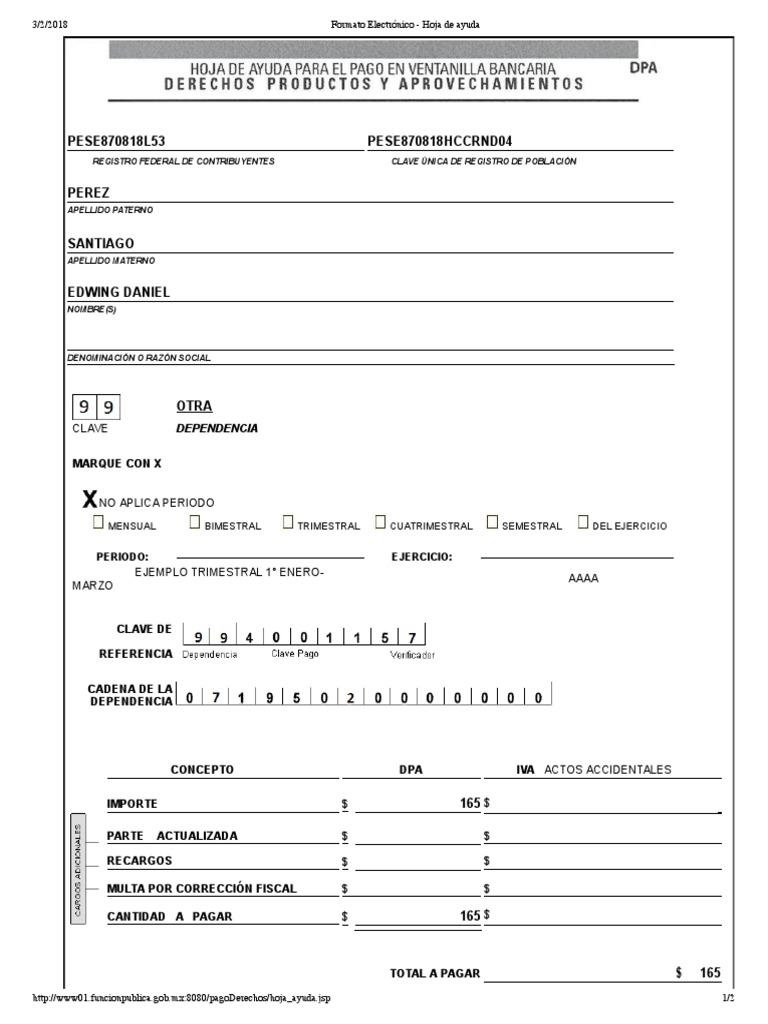Formato Electrónico - Hoja de Ayuda | PDF