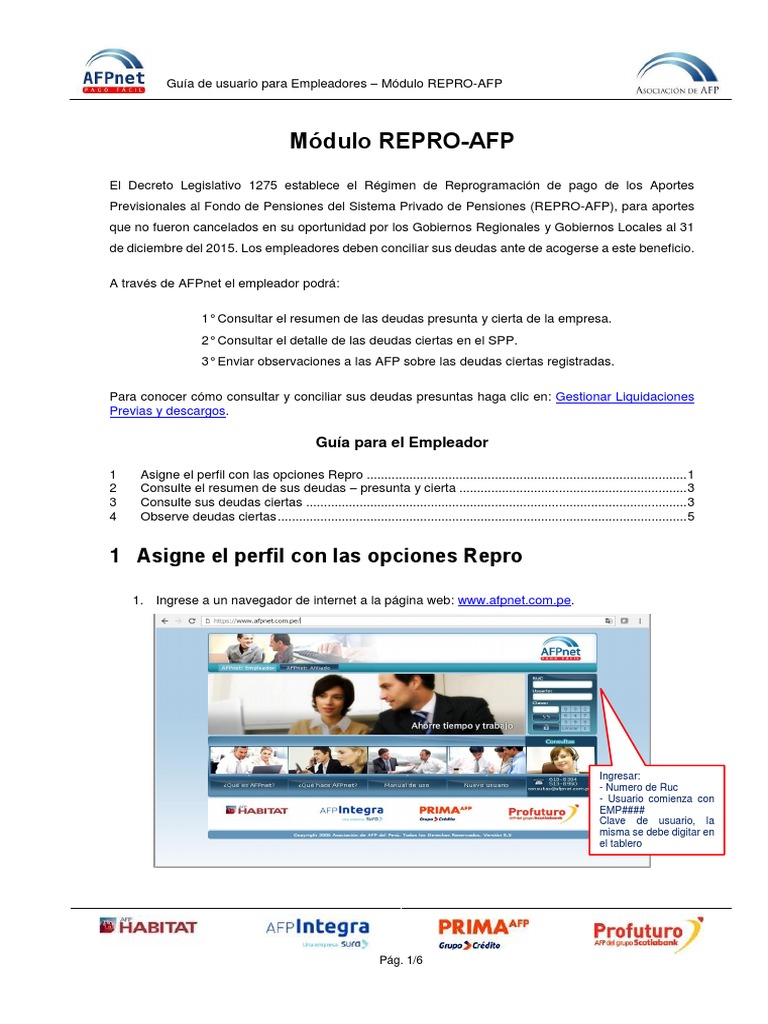 Guia de Usuario - Modulo Repro AFP | PDF | Point and Click | Pensión