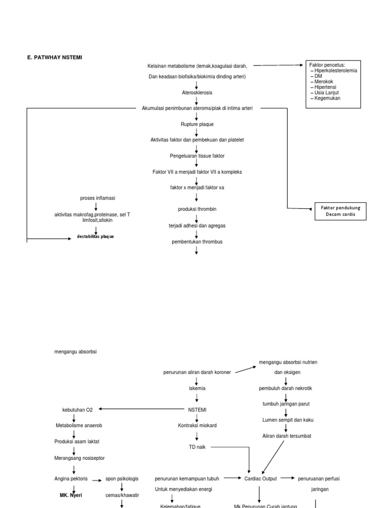 Pathway NSTEMI | PDF