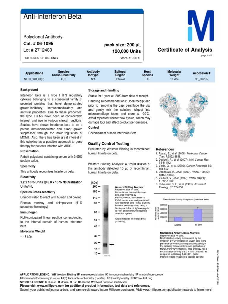 Anti-Interferon Beta: Certificate of Analysis | PDF | Western Blot ...