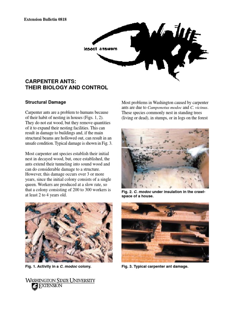 Carpenter Ants Biology and COntrol. HANSEN | PDF | Ant | Nest