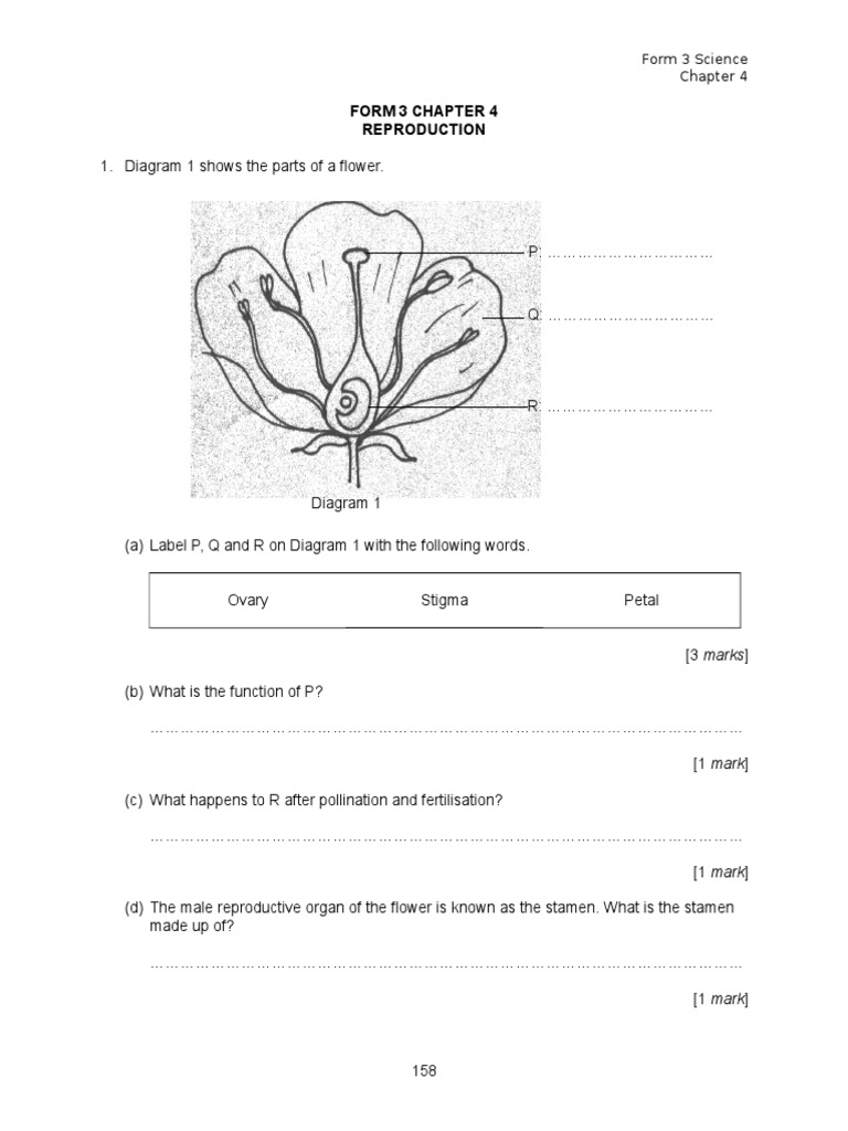 SCIENCE FORM 3 Chapter 4 Exercise | Reproductive System | Reproduction ...