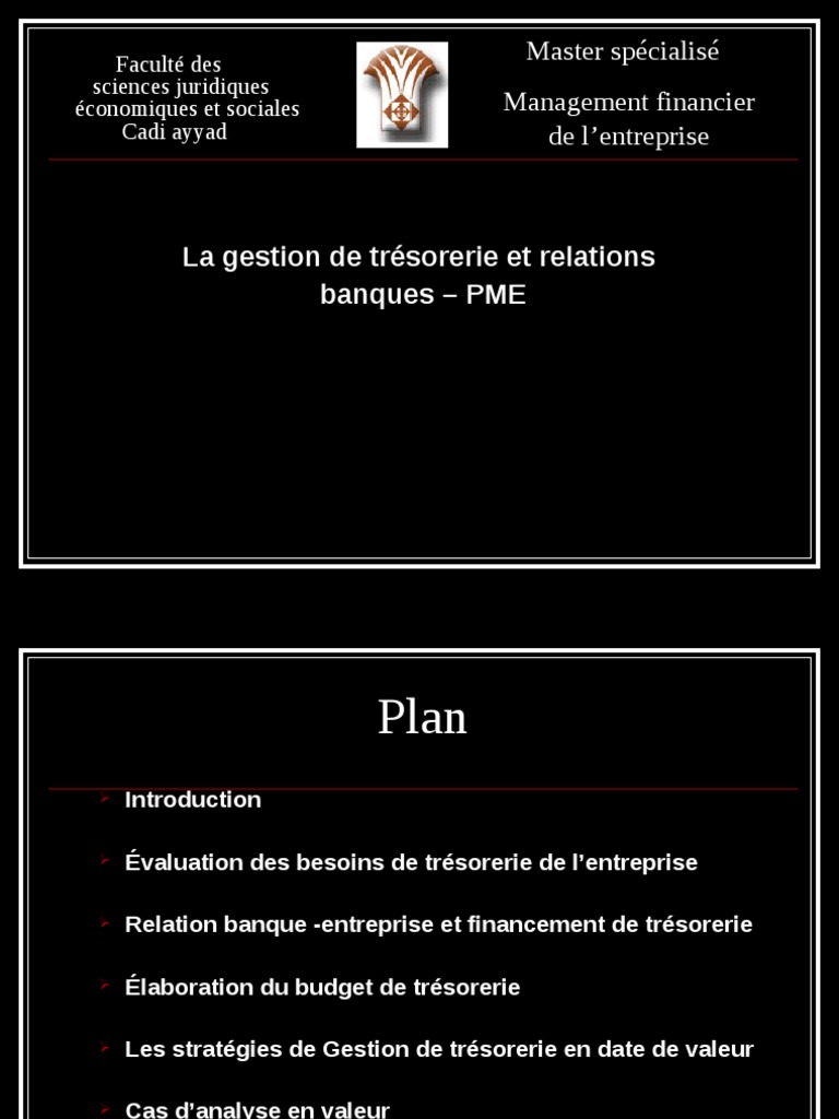 La Gestion de Trésorerie Et Relations Banques - PME: Master Spécialisé Management Financier de L ...