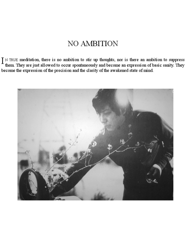 No Ambition | PDF