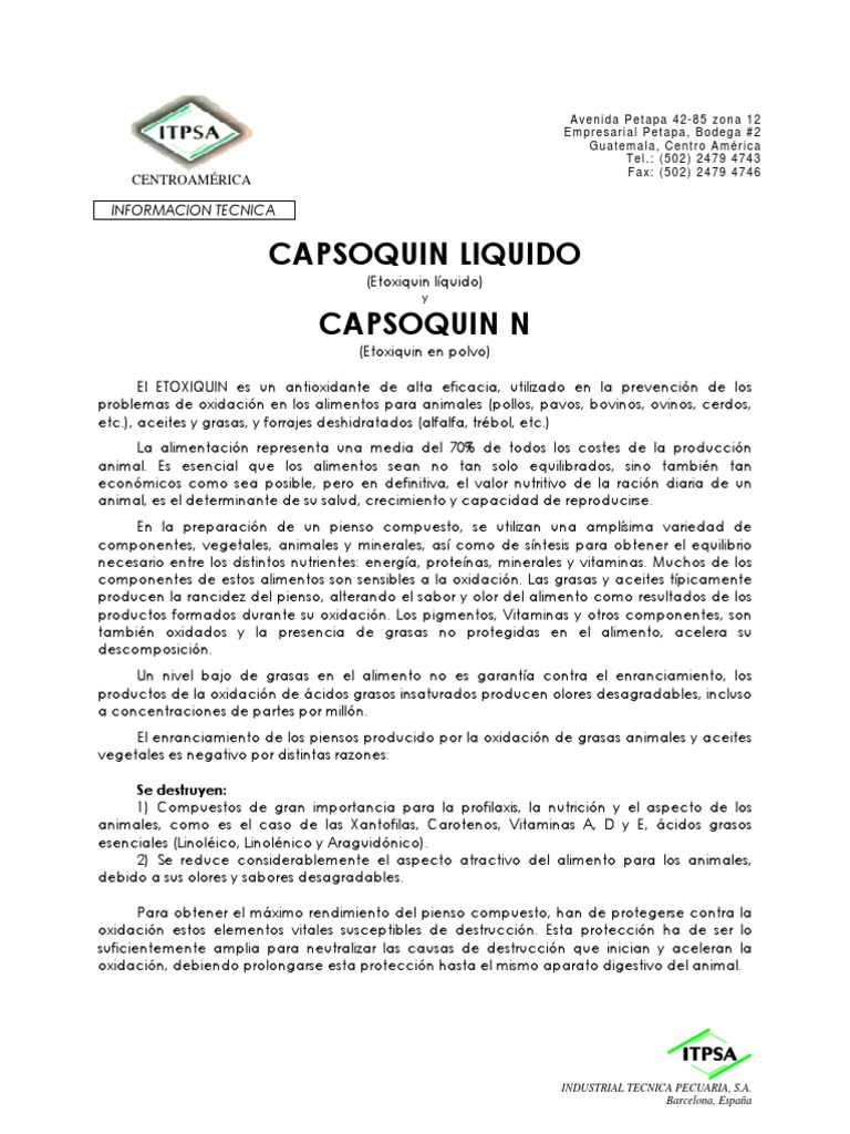 Capsoquin Liqido y Polvo | PDF | Antioxidante | Alimentos