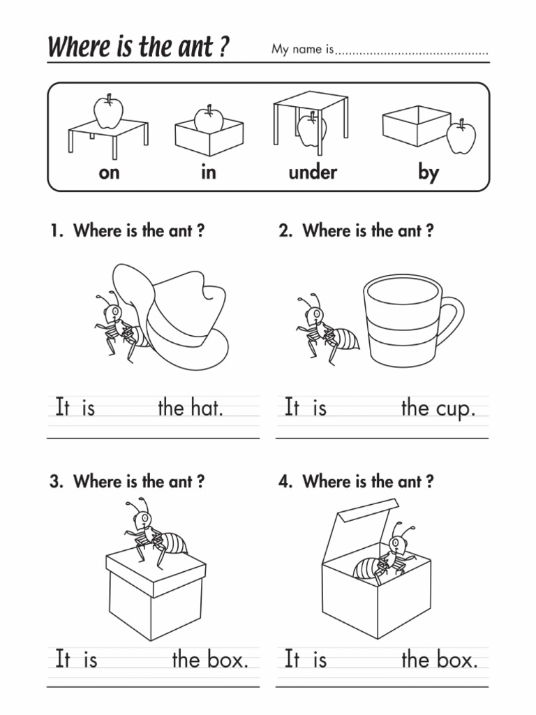 Where Is The Ant Worksheet PDF | PDF