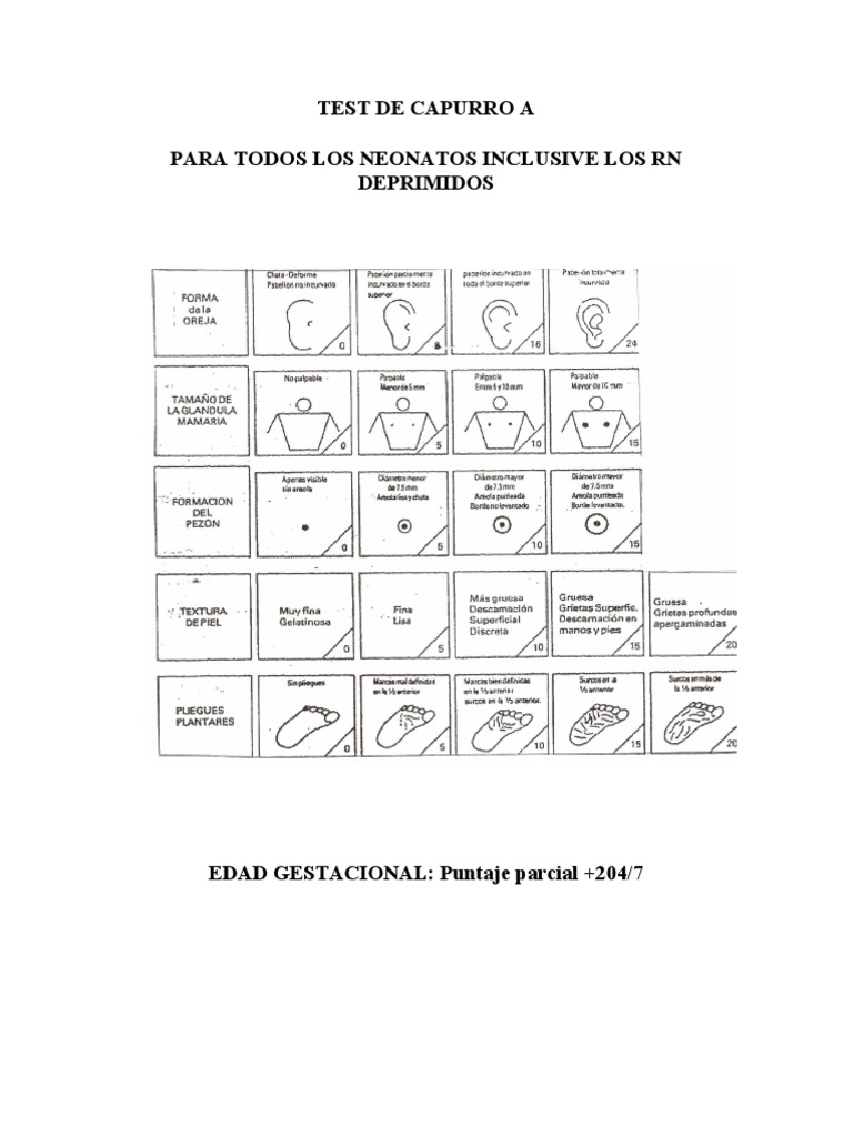 Test de Capurro A y B PDF | PDF