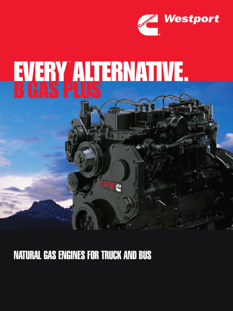 BG Gas PDF | PDF | Cummins | Natural Gas