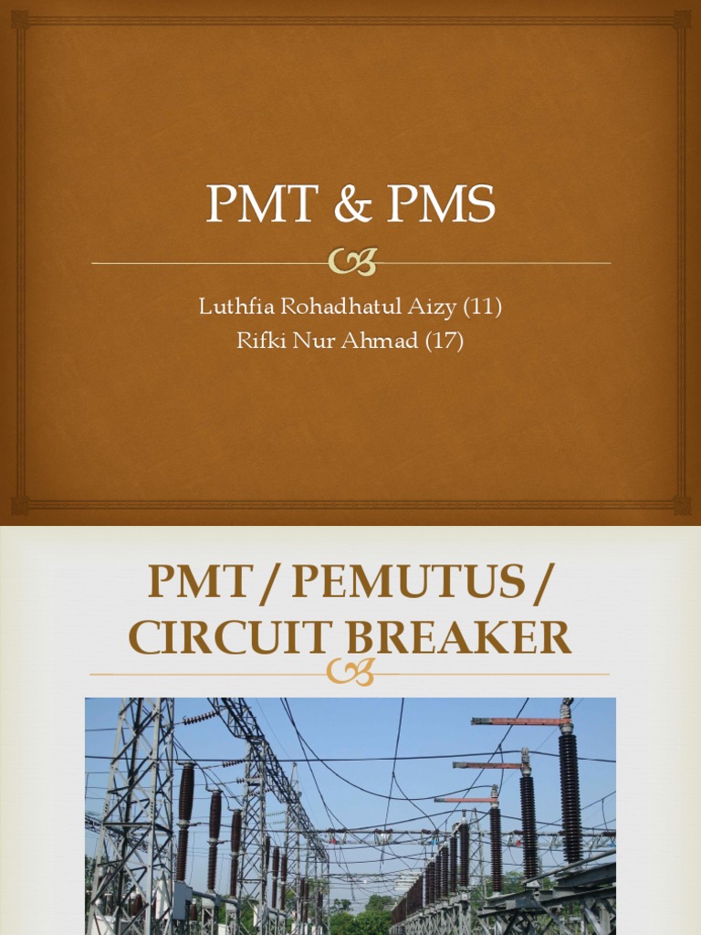 Presentasi PMT & PMS | PDF