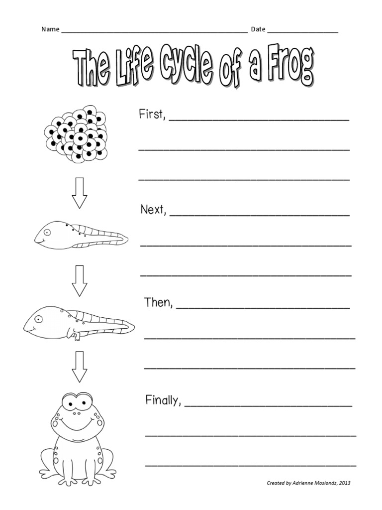 Name - Date | PDF