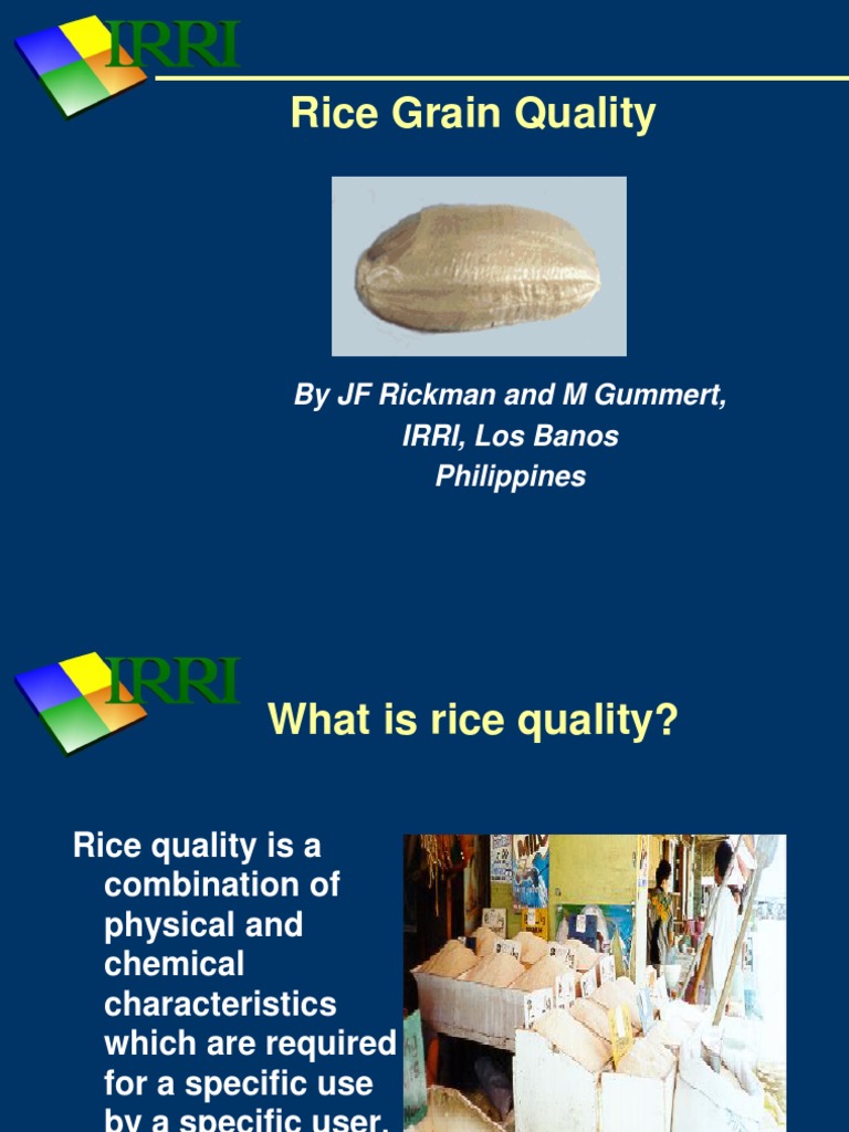 Rice Grain Quality Factors | PDF | Rice | Agronomy