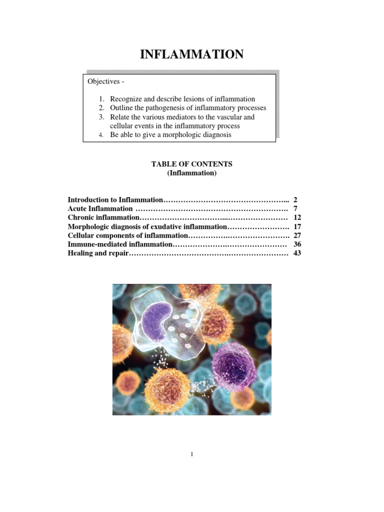Inflammation Notes | Download Free PDF | Granulocyte | Inflammation